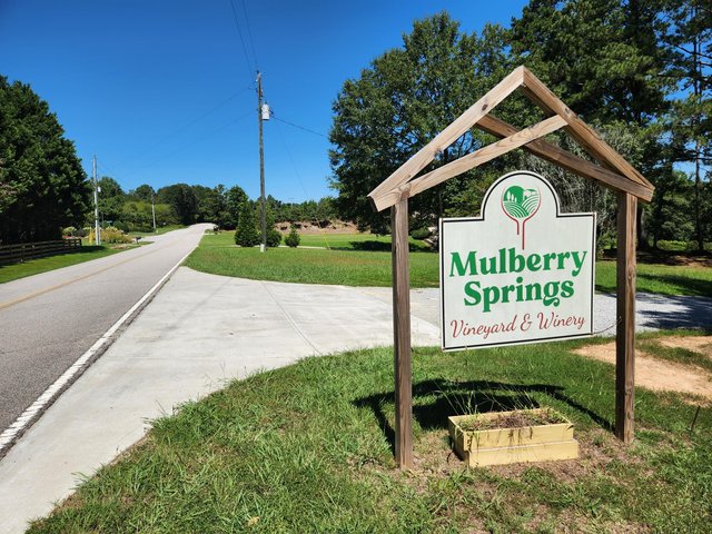 When to watch a new ‘microsoap’ filmed in South Hall - Gainesville Times