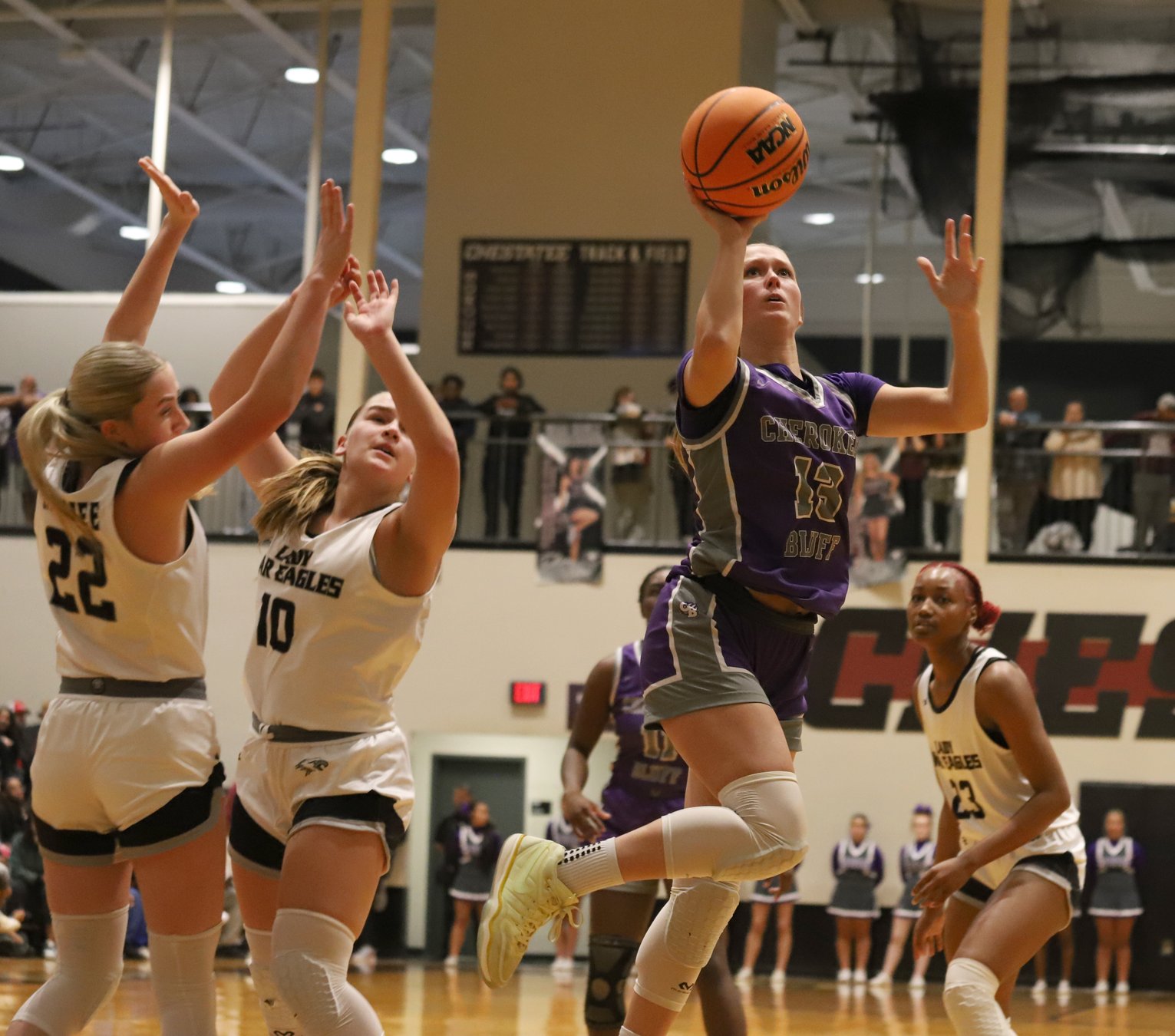 Lanierland Basketball Tournament: Hot second half by Cherokee Bluff ...